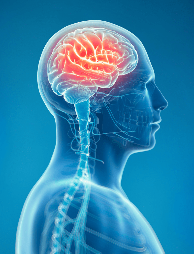 Neurovascular Interventions | Dr. Karthikeyan | Vascular Specialist